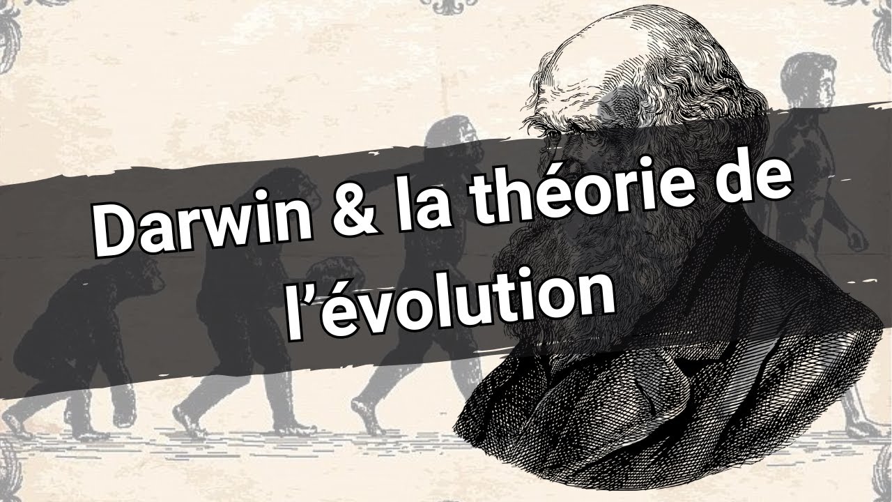 La théorie de l'évolution par la sélection naturelle - YouTube