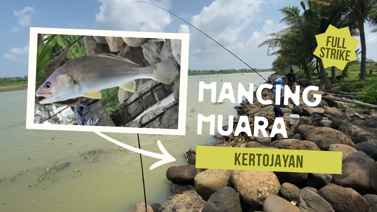 MANCING MUARA KERTOJAYAN FULL STRIKE - YouTube