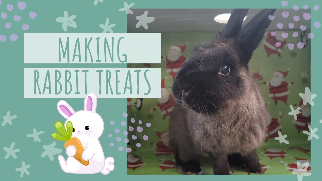 DIY Homemade Rabbit Treats - YouTube