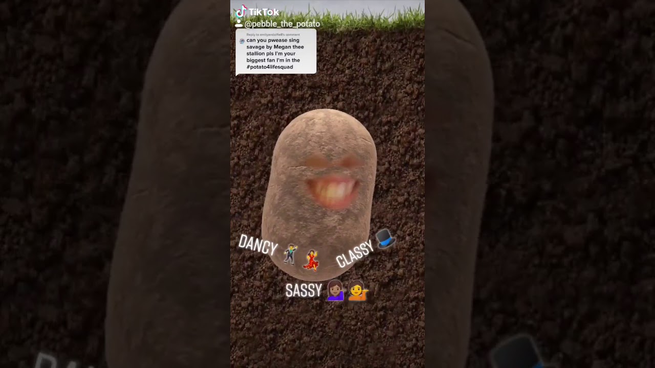 Savage (Potato Edition) - YouTube