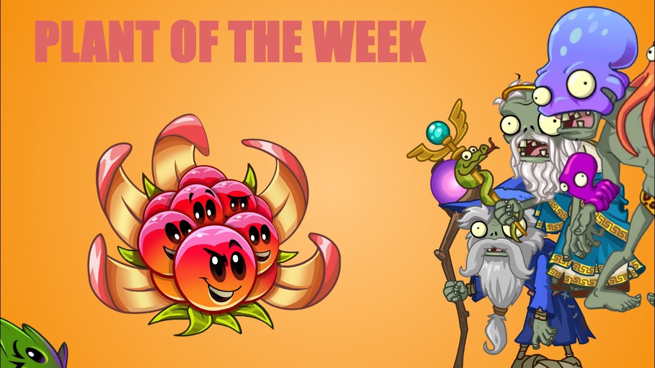 2024 Plant of the Week: BoomBerry - YouTube