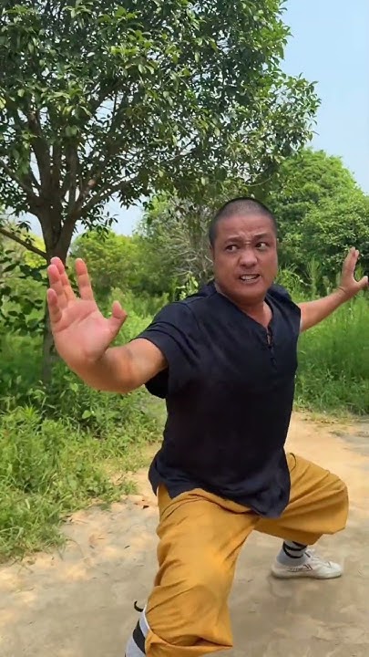 Do you know Shaolin Boxing?#Taiji#Taijiquan#Kung Fu#Taijiquan#Chinese Kung Fu#Chinese Wushu ...