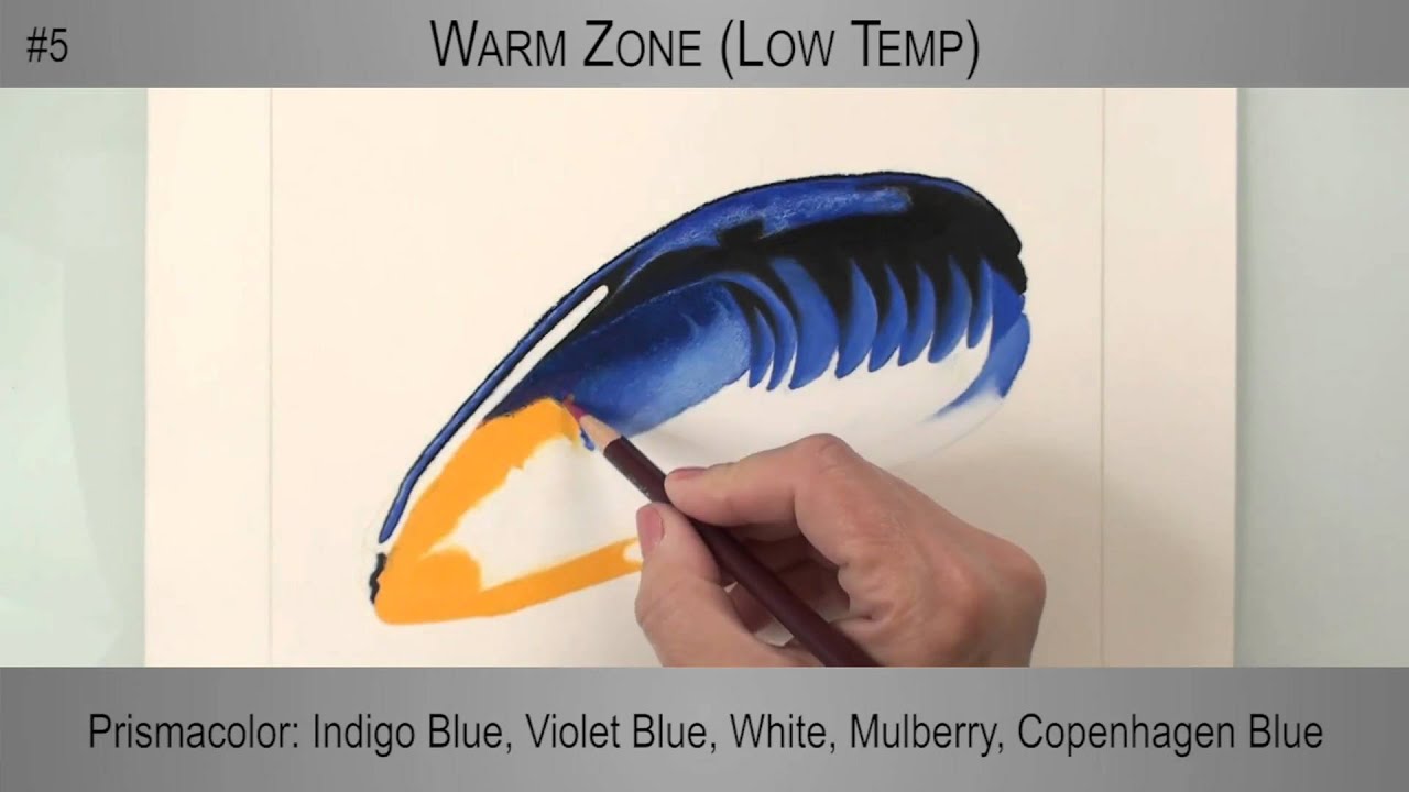 [5/17] - Mussel Shell - Applying Colored Pencils Over Artist Crayons ...