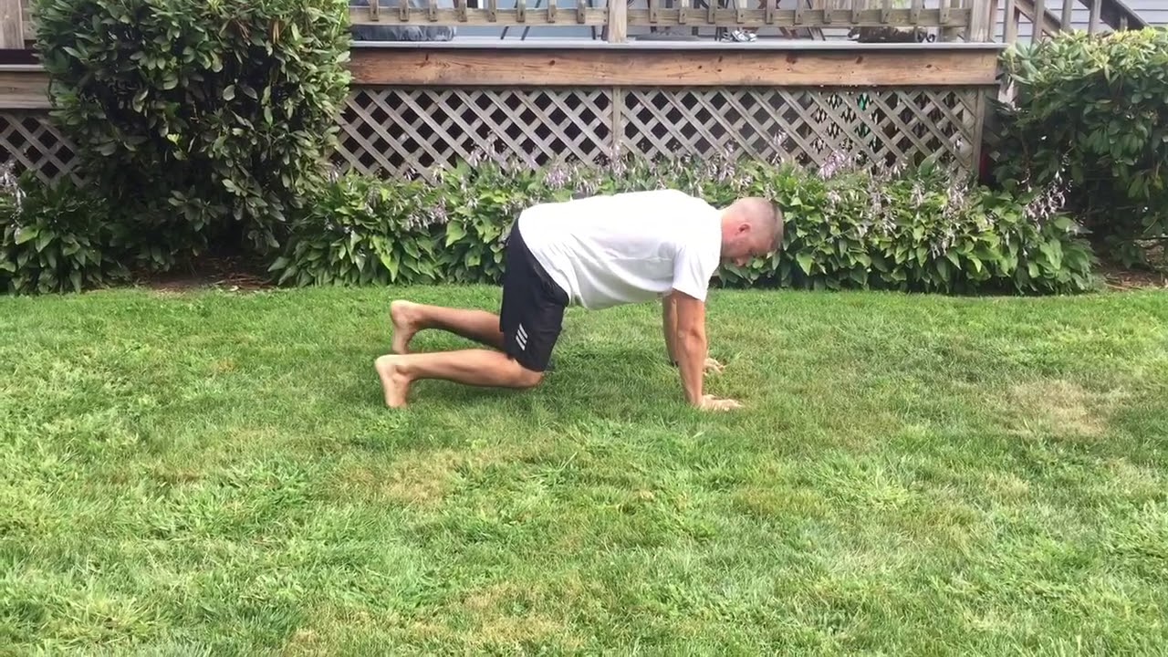 Bird Dog Crawl Position - YouTube