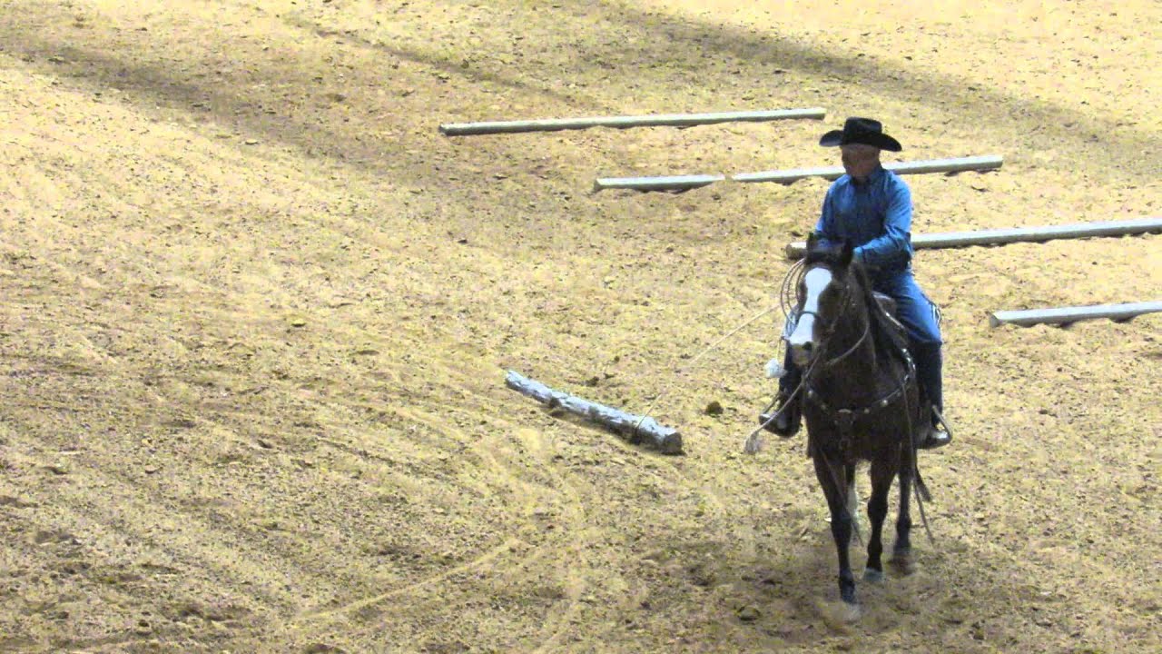 Ranch Horse Competition Cowtown Showdown - YouTube
