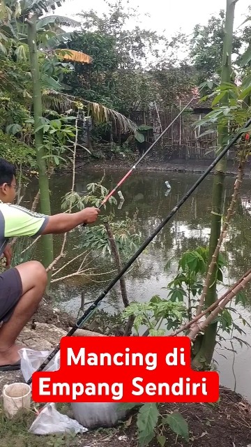 Mancing di Empang Sendiri #fyp #viralreels #viralshorts #viralshort # ...