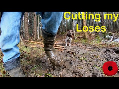 Wind Blows Down Trees. Boot Stuck in the Mud. - YouTube