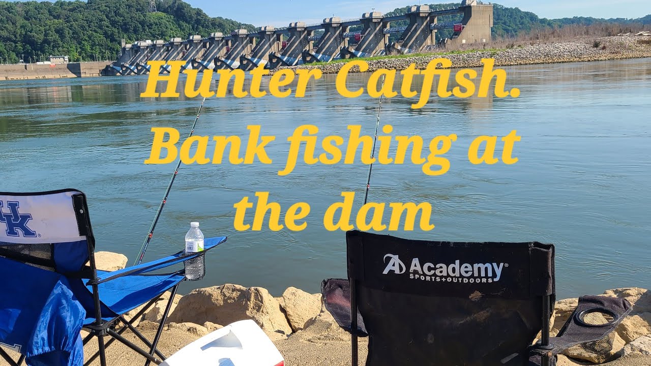 Catfishing at the dam live - YouTube