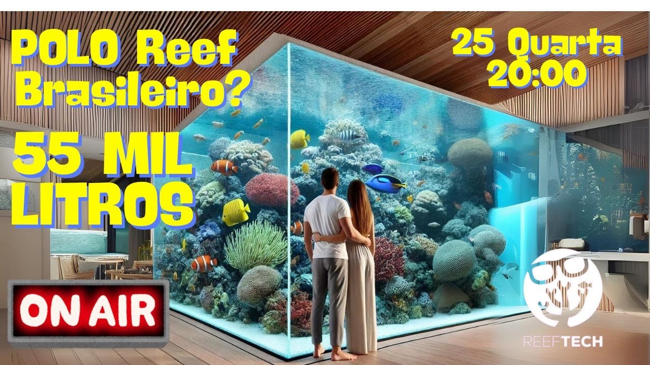 REEFTECH PODCAST - Polo Reef Brasileiro - YouTube