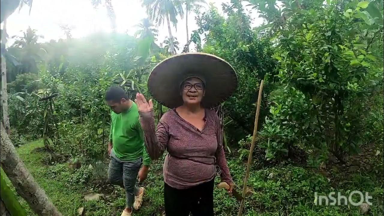 UNANG BISITA SA FARM(buhayprobinsya)#trending #shortvideo ##viral #trend - YouTube