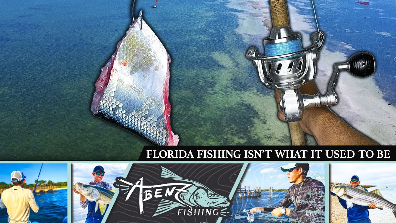 The Last of Florida's Preserved Backwater | Florida Fishing | Abenz ...