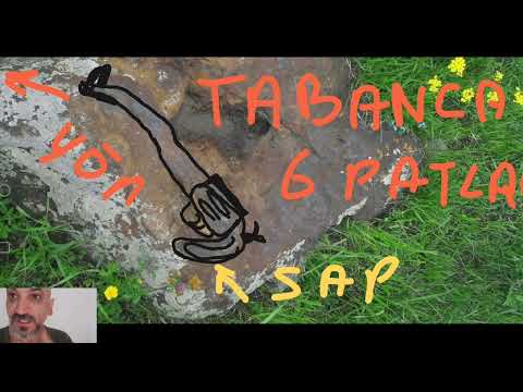 AT VE TABANCA EŞKİYA İŞARET ÇÖZÜMÜ +905442952358 WHATSAPP