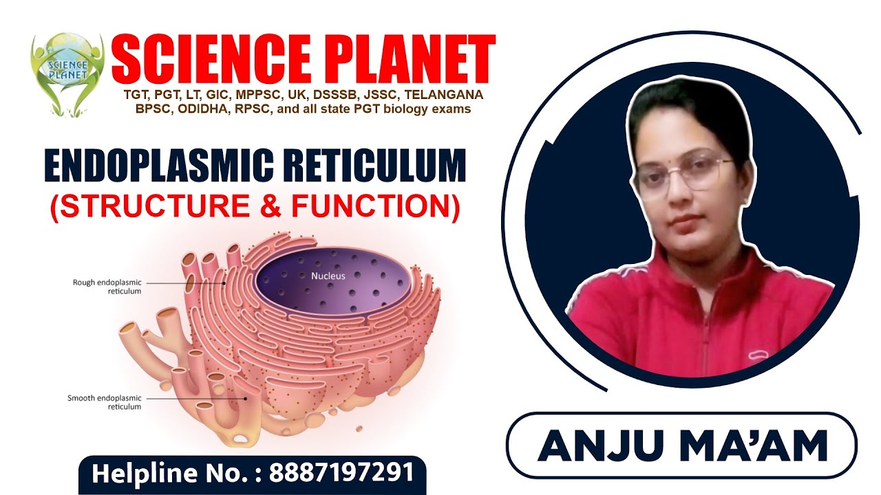 Endoplasmic Reticulum (Structure & Function) by Anju Mam of Science ...