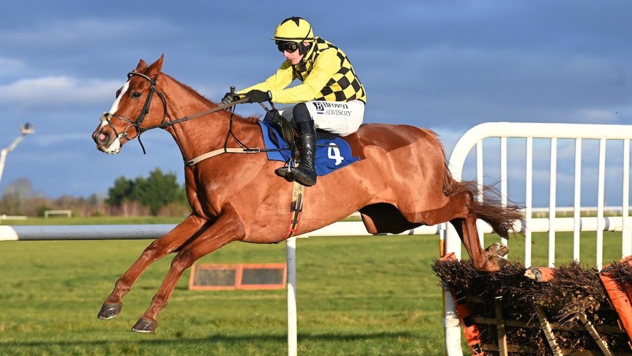 👀 DADDY LONG LEGS looks smart for Willie Mullins | Racing TV - YouTube