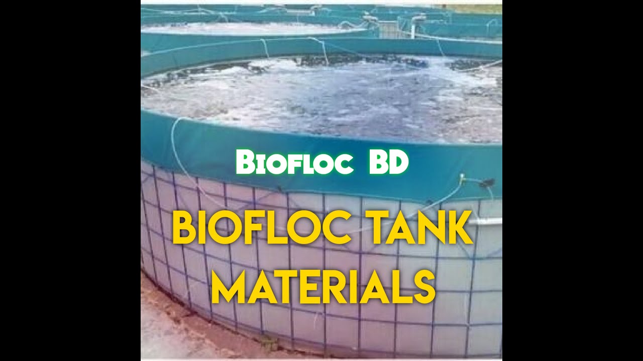 Biofloc Fish Farming | Materials for biofloc tank setup - YouTube