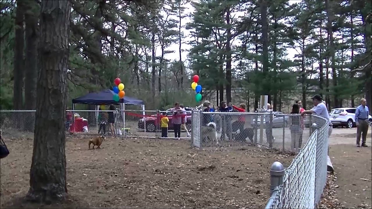Westfield Dog Bark Grand Opening - YouTube