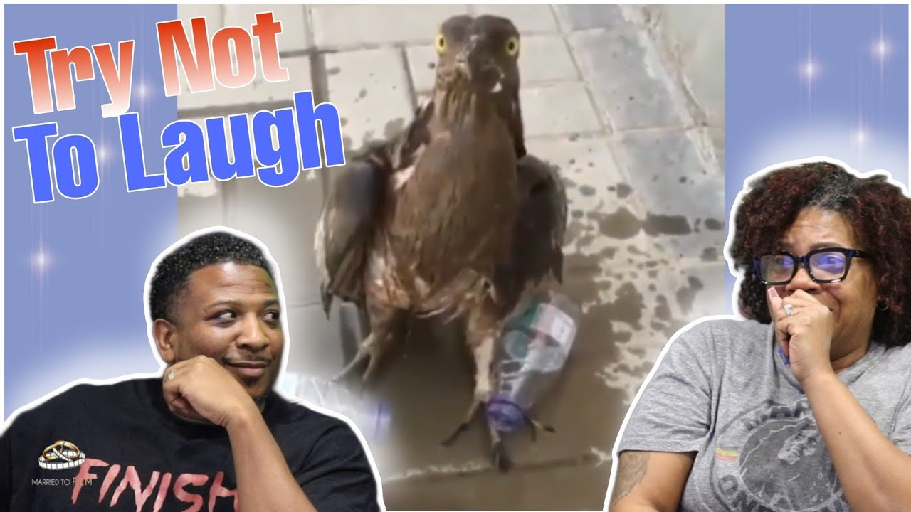 Can You Resist Laughing?! | Try Not To Laugh Challenge: Best Tony Baker ...