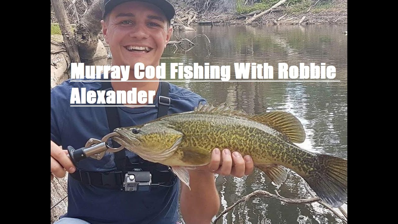 Murray Cod fishing with Robbie Alexander - YouTube