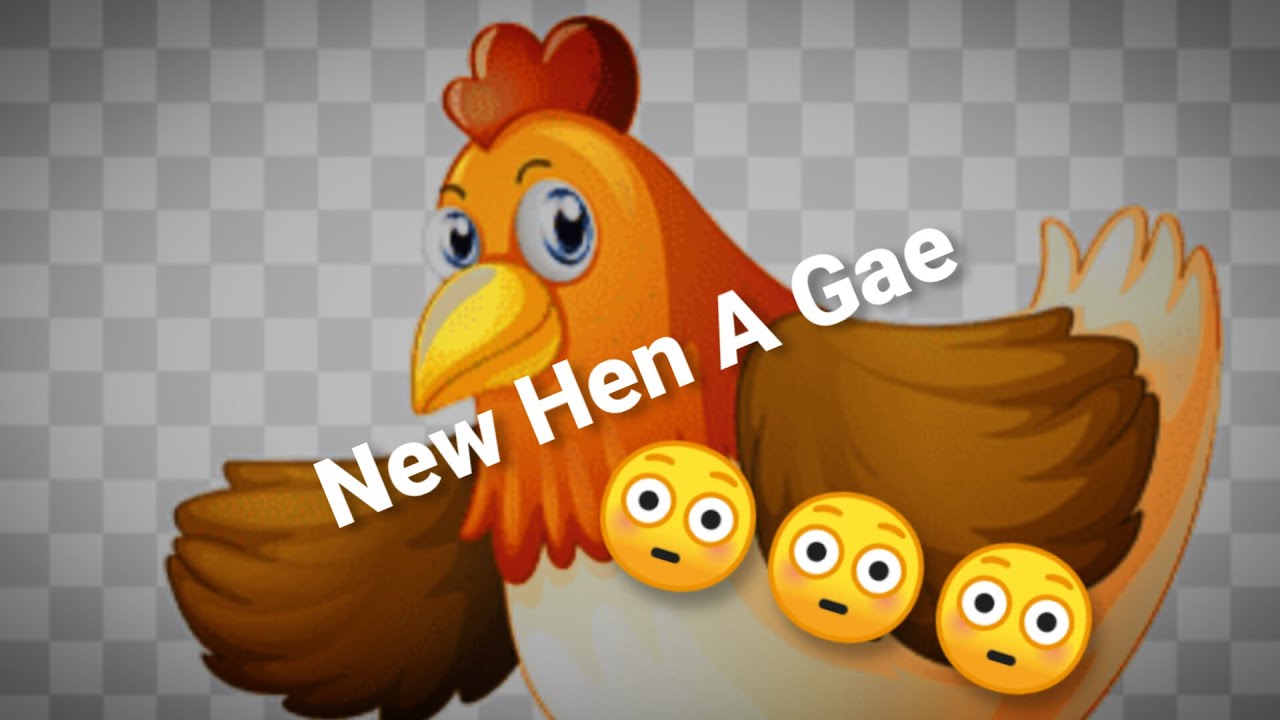 New hen agai 😍😚 setup pr |New hen in our setup| 😊😊 - YouTube