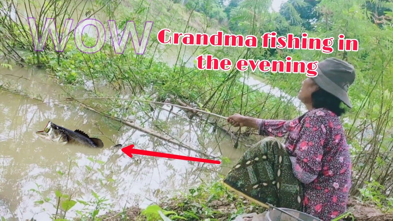 Grandma fishing in the evening| យាយស្ទូចត្រីពេលល្ងាច| #daddy #fishing # ...