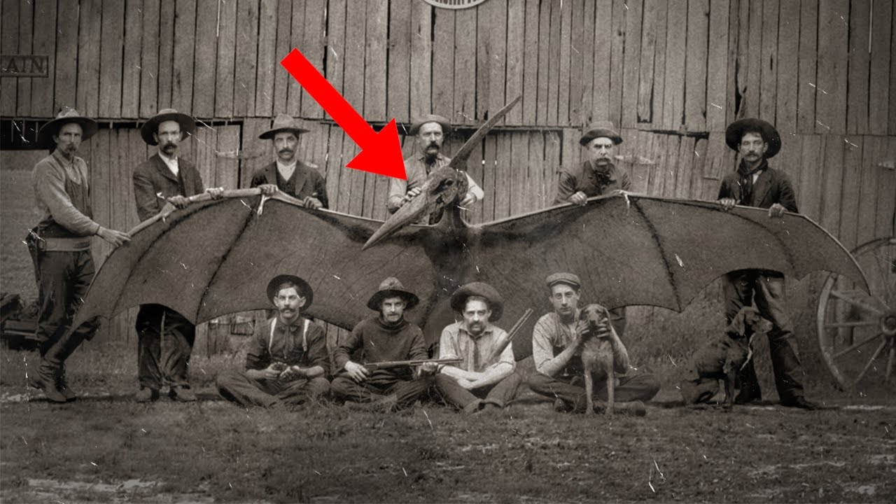 The Most Mysterious Historical Photos - YouTube