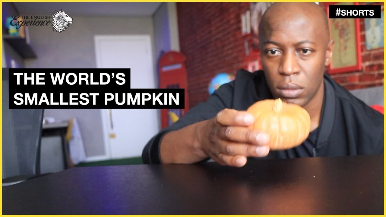 The world's SMALLEST pumpkin #shorts - YouTube