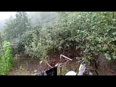 MİS GİBİ TOPRAK KOKUSU VE HUZUR VEREN YAĞMURUN SESİ