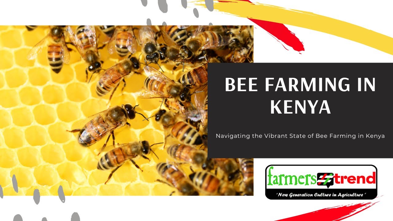 Bee Farming in Kenya: Navigating the Vibrant State of the Industry ...