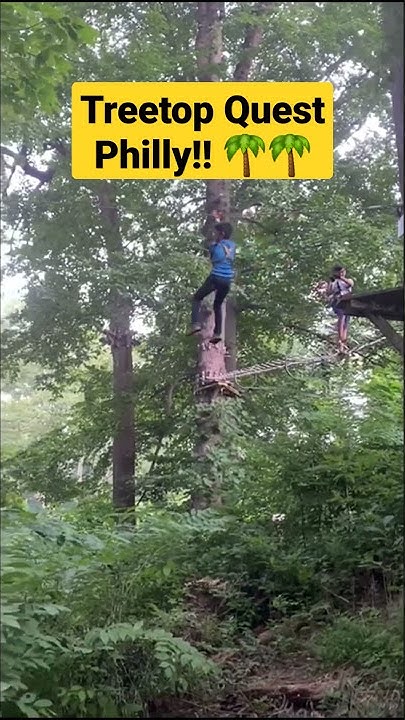 Treetop quest Philadelphia 2021 - YouTube