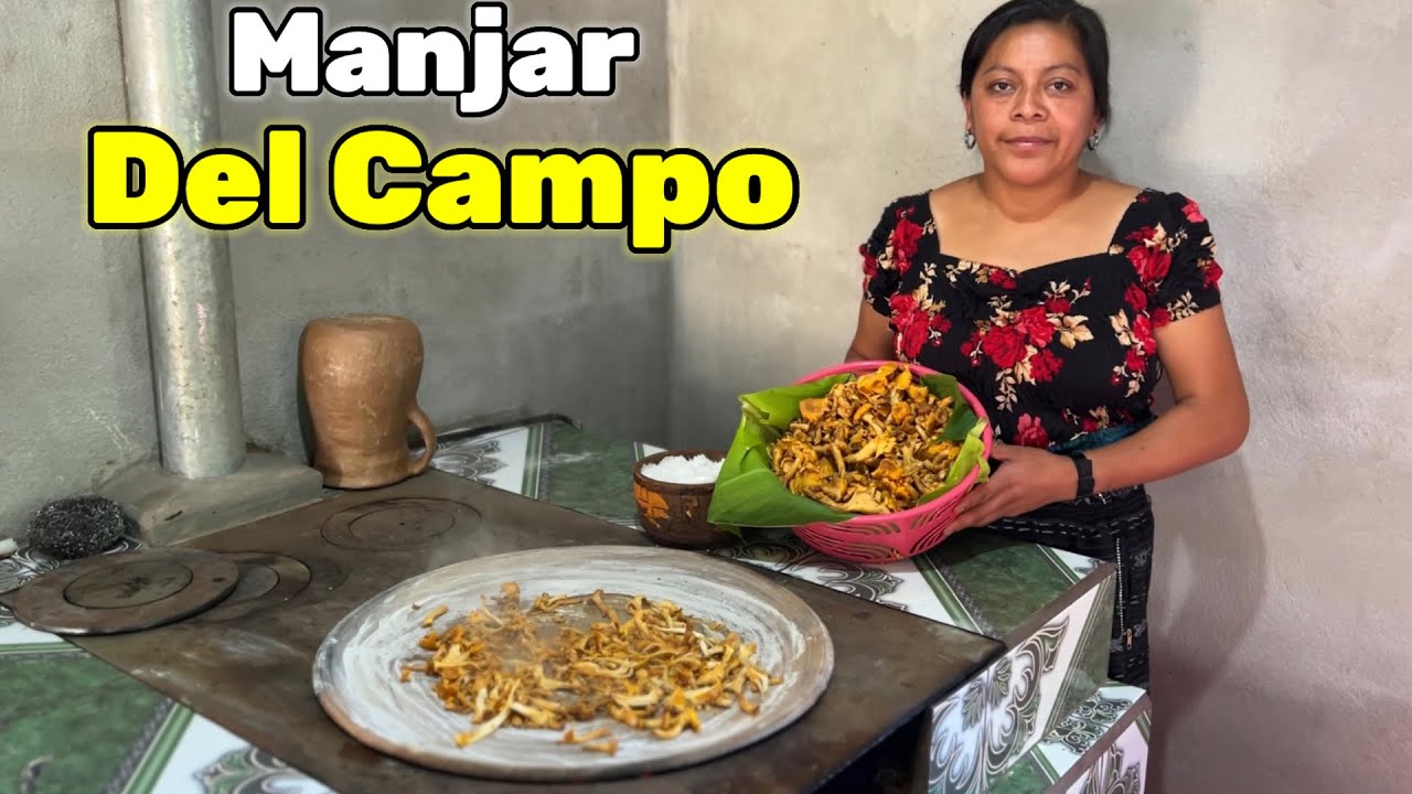 La Forma Más Fácil De Preparar Hongos de Campo - YouTube