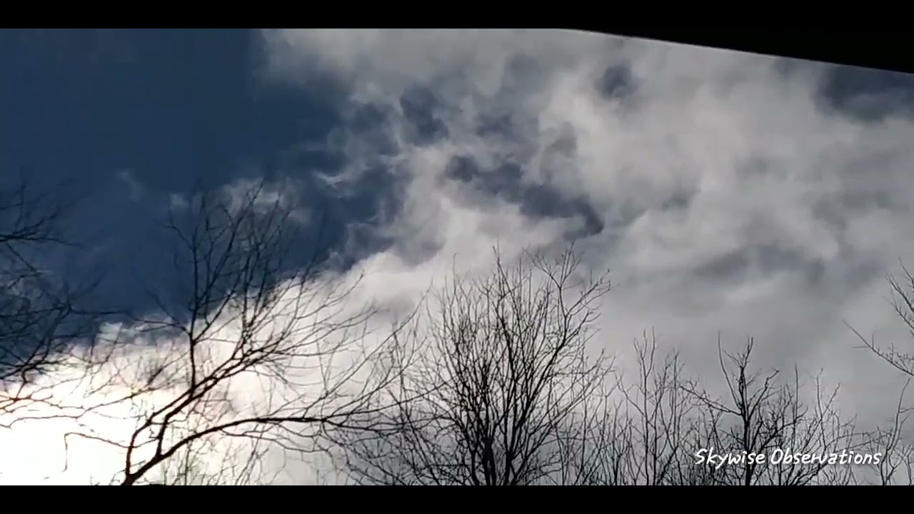 Goodbye Groundhog🤦😂 2/2/2024; 1:45+ p.m. - YouTube