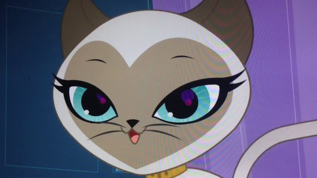 Littlest Pet shop Scout Kerry said "I love shredding paper." - YouTube