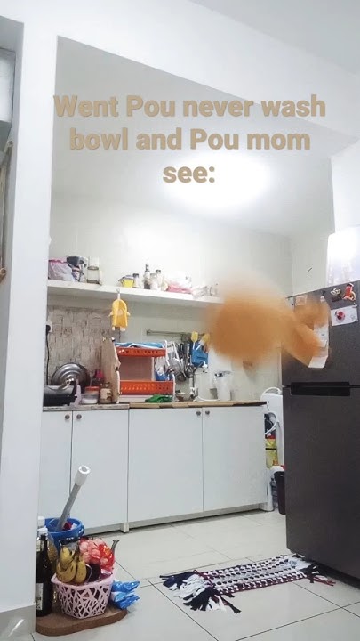Went Pou never wash bowl and Pou mom see: #pou - YouTube