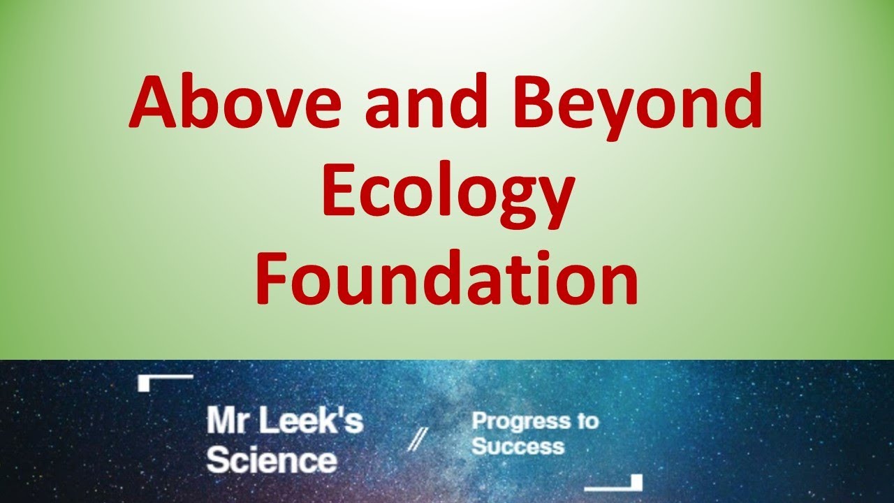 22 Ecology Foundation Questions - YouTube