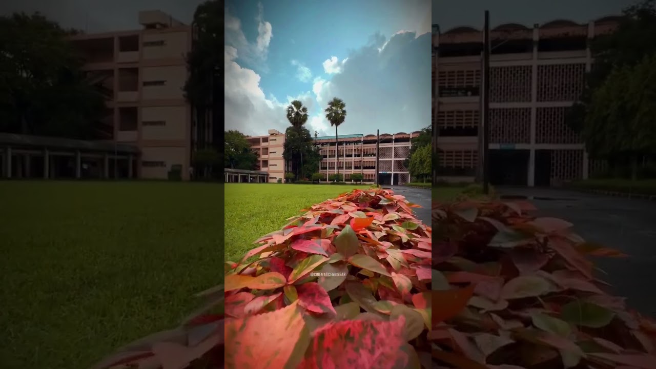 Cinematic view of IITB main building #iitjee #rushikale #minivlog # ...