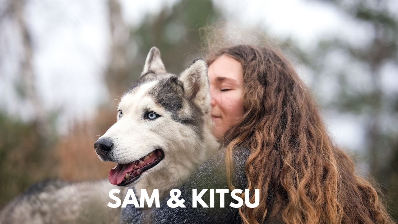 Husky Sam and Shiba Inu Kitsu - YouTube