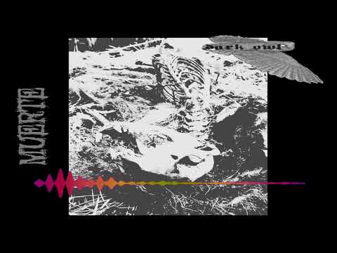 Dark Owl - Murte (2019) #DarkOwl #Experimental #Drone #Noise (Full Album)