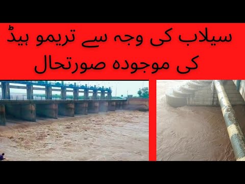 flood in trimo head jhang,selab ka pani 2022 ,flood in river Chenab and ...