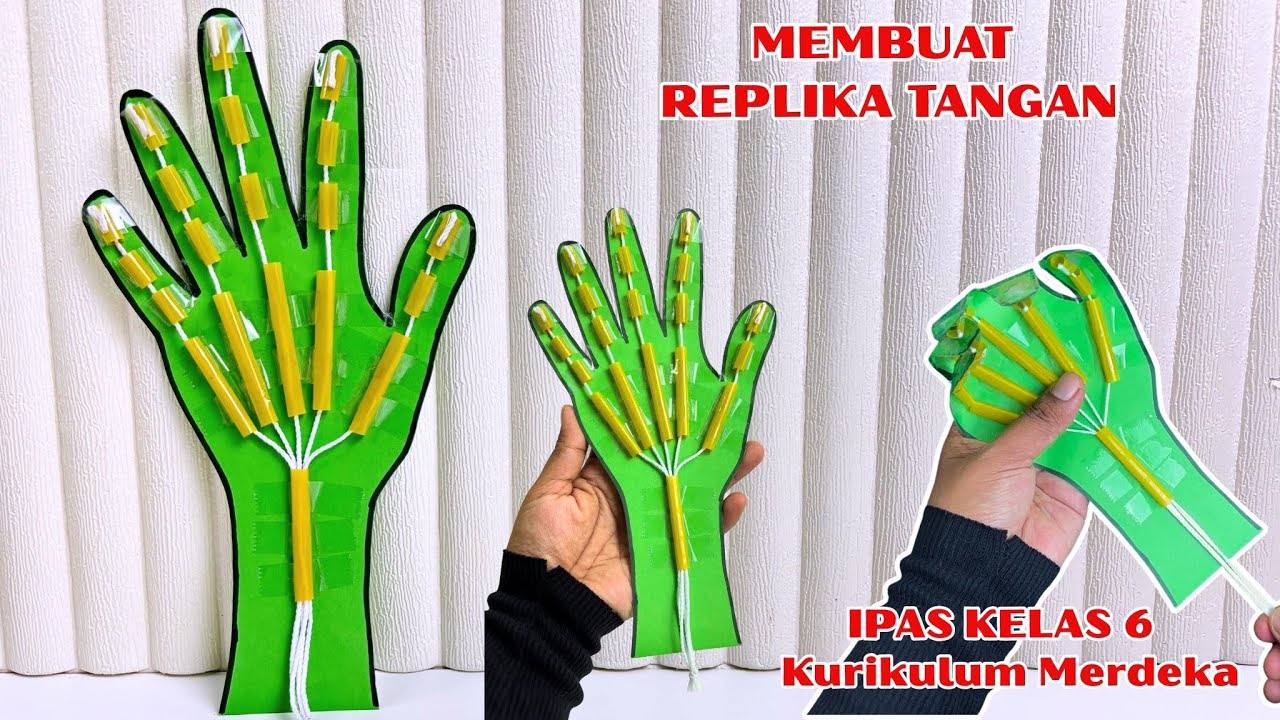 Cara Membuat Replika Tangan Manusia IPAS Kelas 6 || Membuat Alat Peraga ...