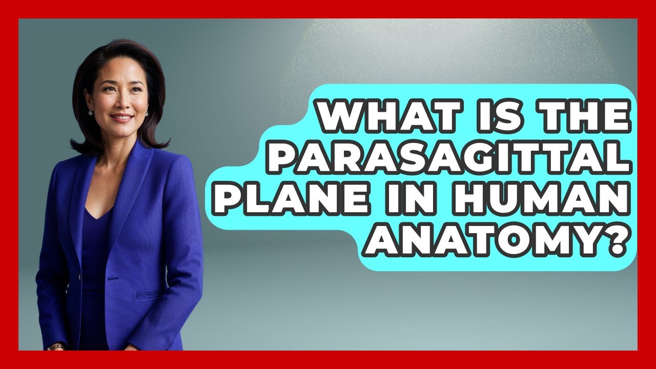 What Is The Parasagittal Plane In Human Anatomy? - All About Anatomy Answers - YouTube