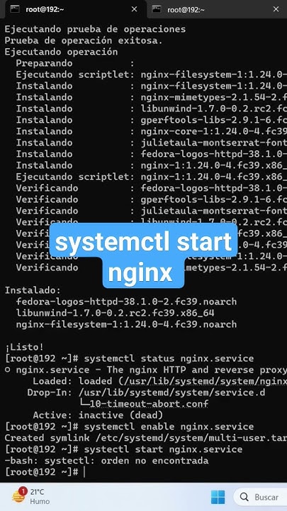 habilitar, iniciar y ver status de nginx en Fedora server 39 #linux ...