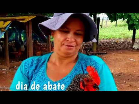 abate de frango 🐔🐓 - YouTube