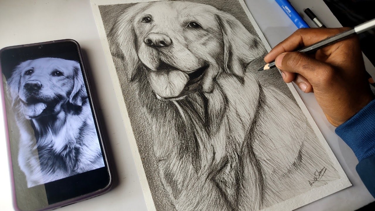 Cute Dog Drawing with Charcoal pencil | Realistic Dog Drawing | Step by ...