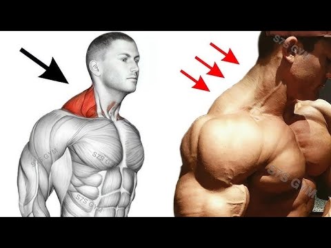 The 6 Best Trap Exercises To Build Big Traps | Gymshark Central - YouTube