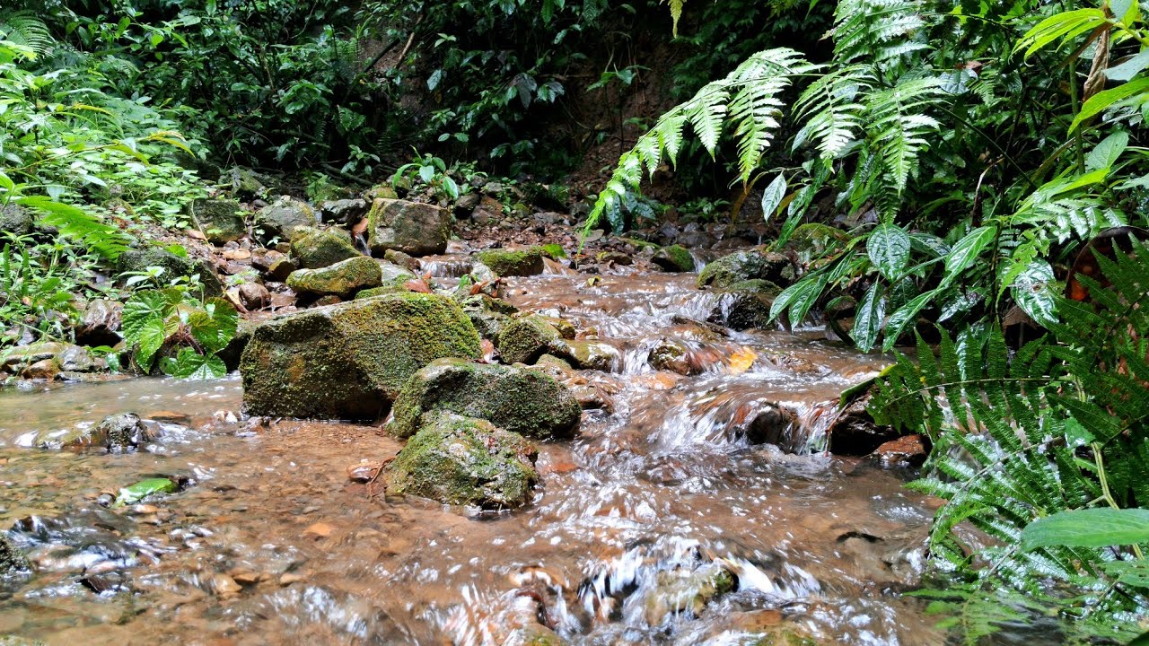 Soft Babbling water sounds use for Relaxation,Deep Sleep,Study/Nature ...