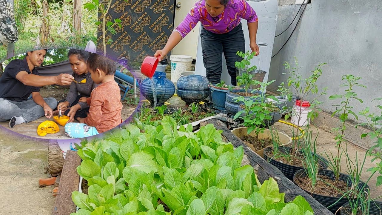 Country Side Life Living| Farming and Cook Pork Ribs Soup For Eating ...