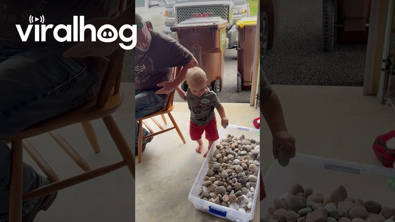 When Your Son Is Obsessed With Rocks || ViralHog - YouTube