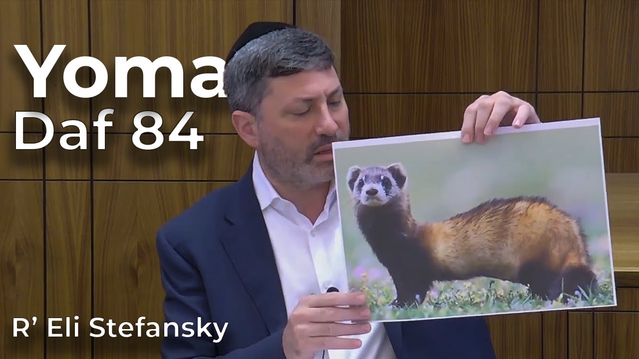 Daf Yomi Yoma Daf 84 by R’ Eli Stefansky - YouTube