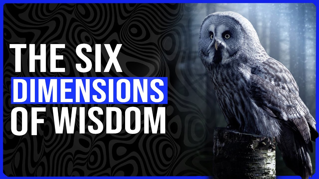 The Six Dimensions of Wisdom | With Wisdom Researcher Guro Hansen ...