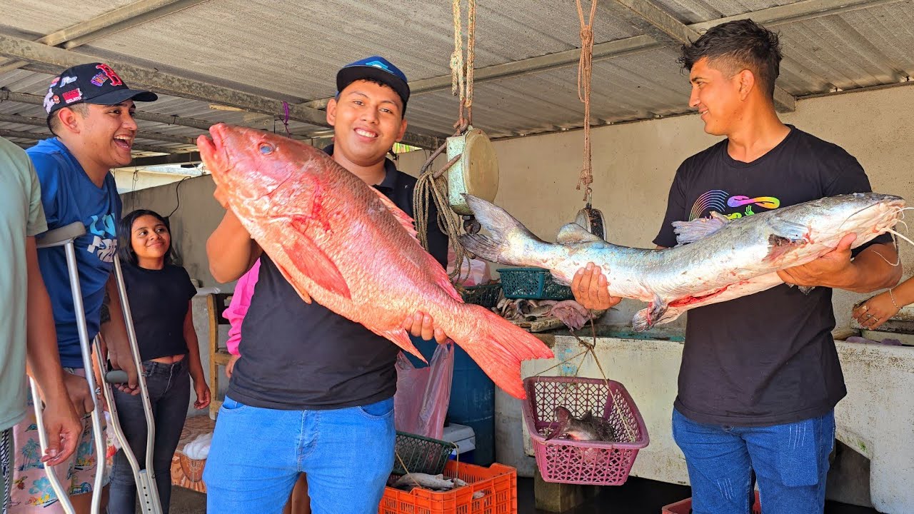 Caldo de Mariscos Con Los Pescados Mas Grandes del Mundo - YouTube